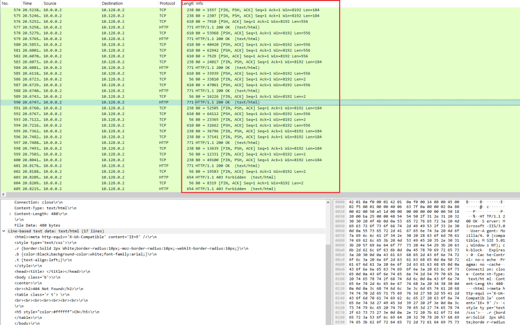 HTTP Reflection | Knowledge Base | MazeBolt